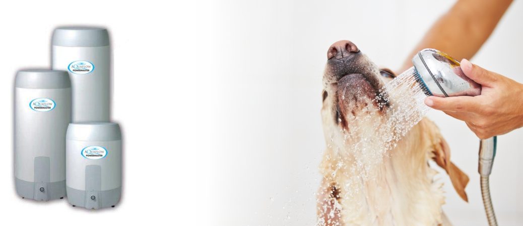 Hot water systems for dog and pet grooming - Salon Aquaflow